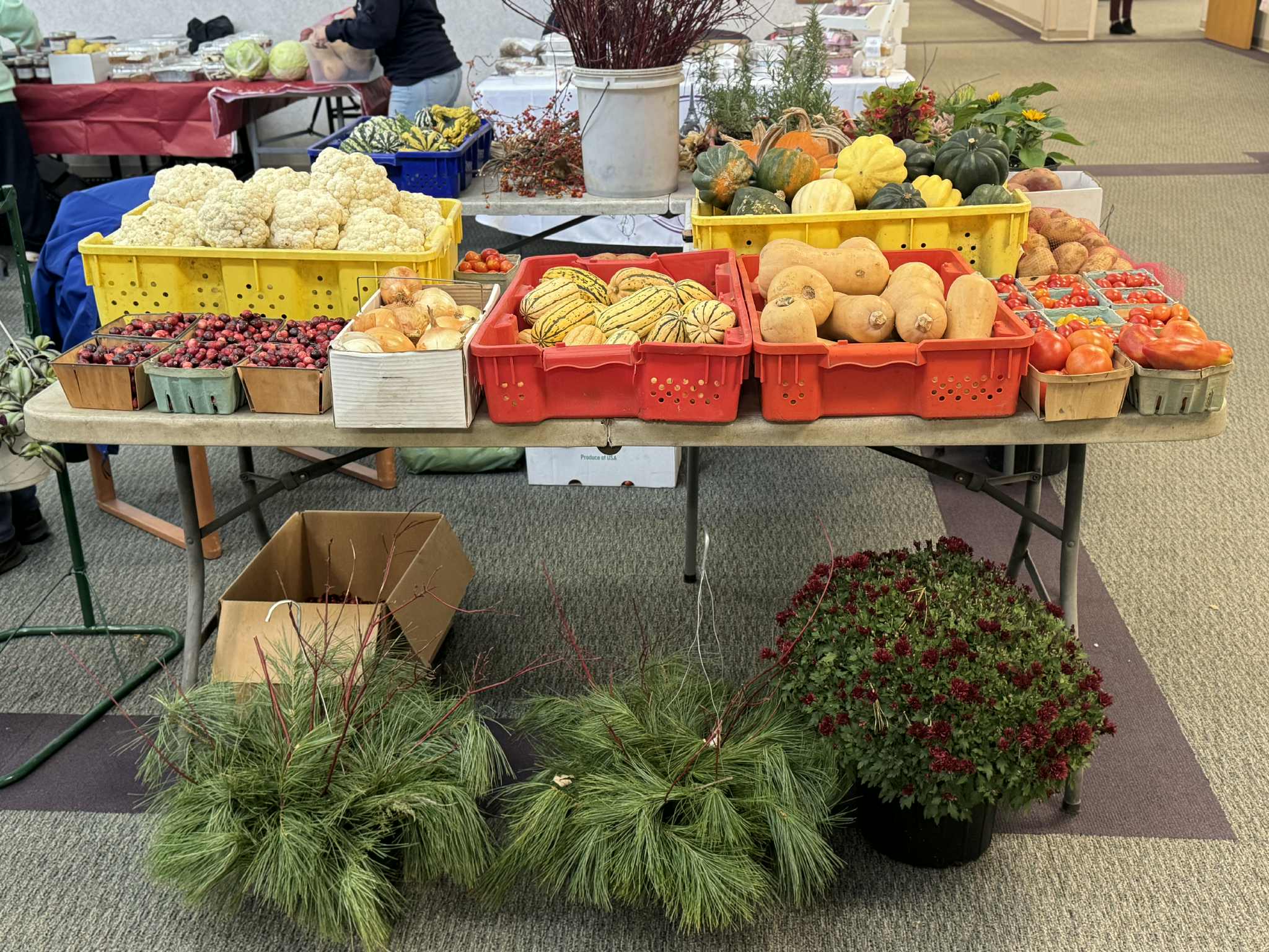 Aspirus Divine Savior Announces Indoor Winter Market to Support Local ...