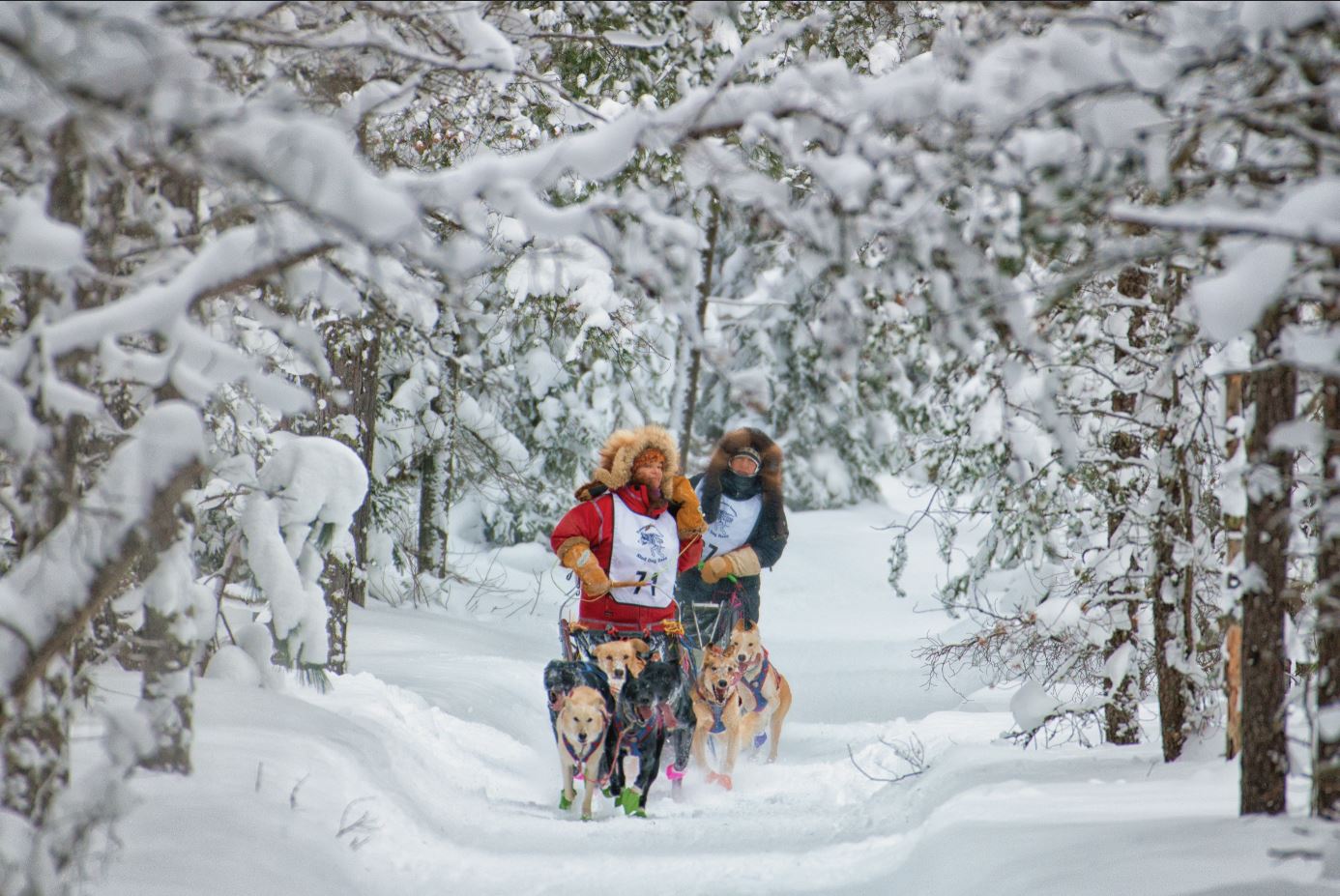 Aspirus Health nurses by day, sled dog mushers by night | Press Room ...